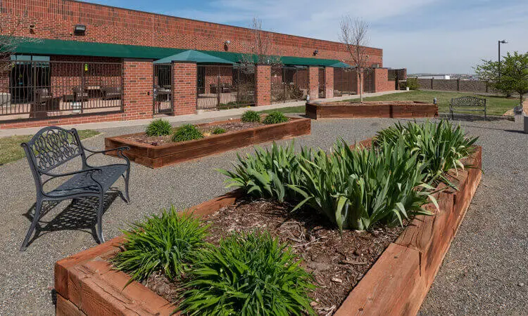 Thornton Colorado PACE Program & Senior Center | Innovage